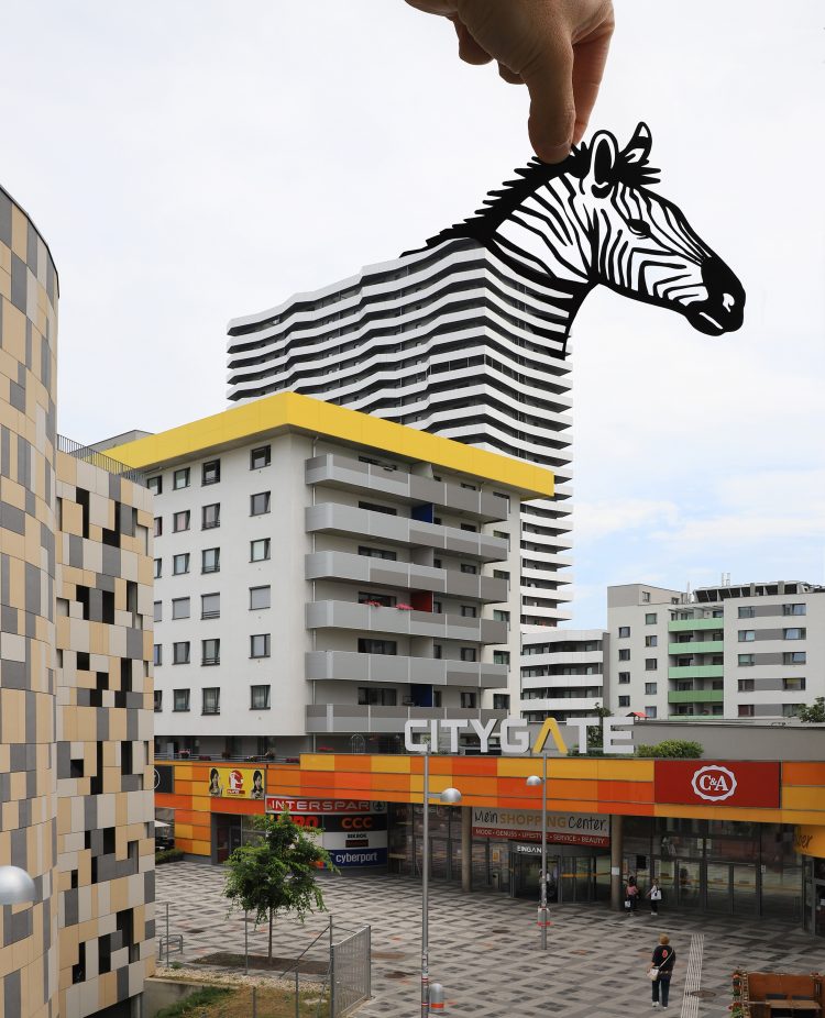 Paperboyo, an artist who sees everything differently - myMoleskine ...